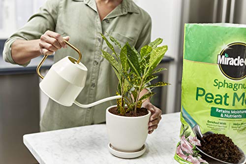 Miracle-Gro Sphagnum Peat Moss, 8 qt., For Containers and In-Ground