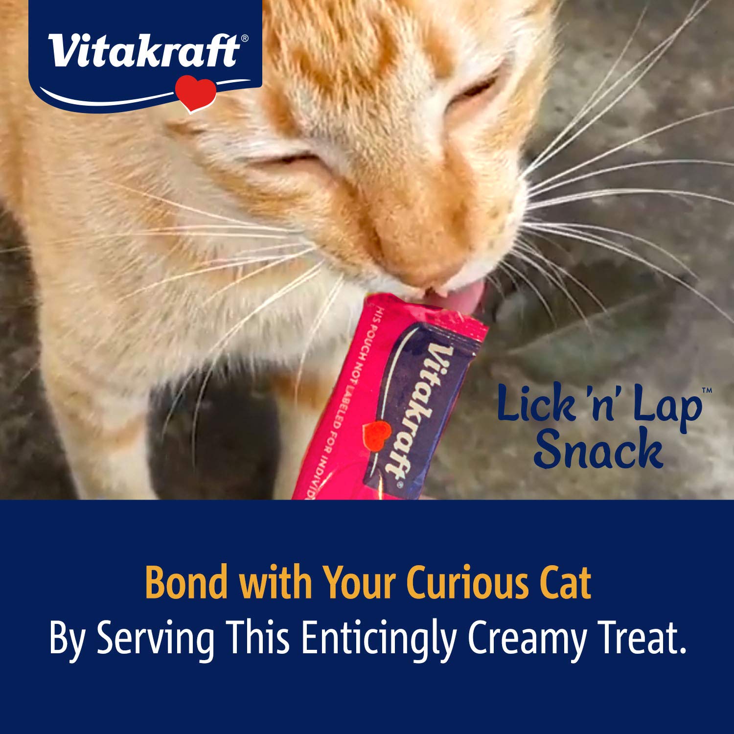 Lick 'n' Lap Snack with Salmon Cat Treat, Value-Pack 40pk