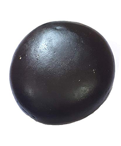 Ram Ratan Kendra Shaligram Shila | Nepal Gandaki River Saligram Stone | 1.5 Inch (Shaligram Shila 100-150 gm)