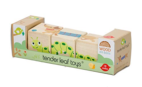 Tender Leaf Toys - Educational Twisting Toy - My First Baby Wooden Puzzle Game - Early Learning to Develop Strategic Thinking and Fine Motor Skills for Children 18M+ (Twisting Cubes)