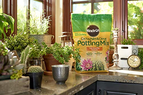 Miracle-Gro Cactus, Palm & Citrus Potting Mix, 8 qt.