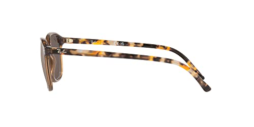 Ray-Ban RB2193F Leonard Low Bridge Fit Square Sunglasses, Transparent Brown/Light Brown Mirrored Gold, 55 mm