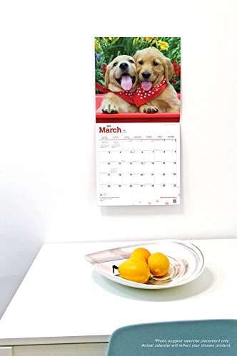 Classic Ford Pickups 2019 Calendar