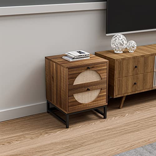 SeokIljin Rattan Nightstand,2 Drawer Side Table,Metal Legs,Bottom Hollow-Out Design,Easy Cleaning,Display Rack for Bedroom and Living Room