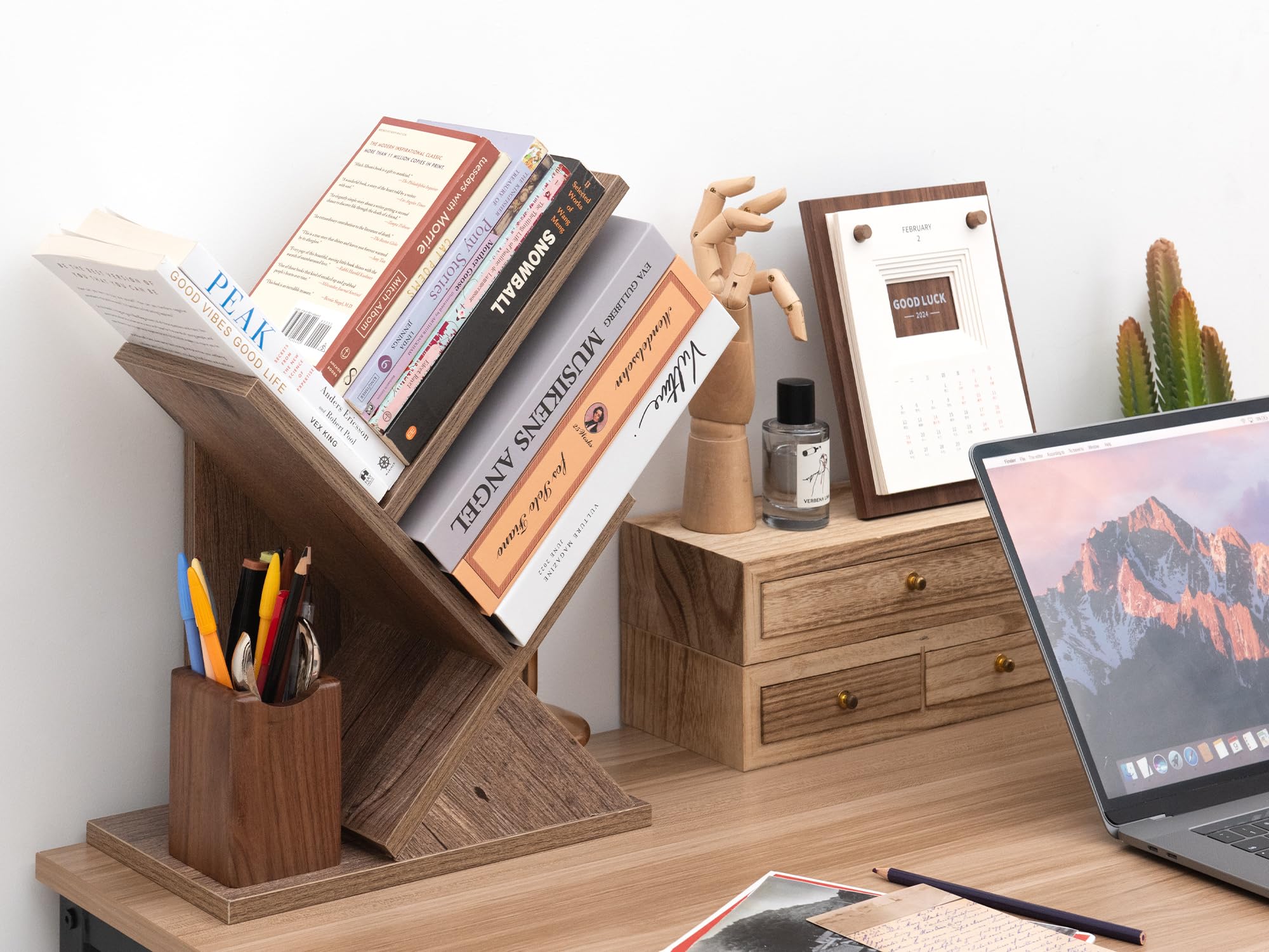 Labcosi 2 Tier Tree Bookshelf, Small Bookshelf for Storing Books/CDs, Wood Book Organizer Shelves for Home Office, Bedroom, Living Room, Rustic Brown