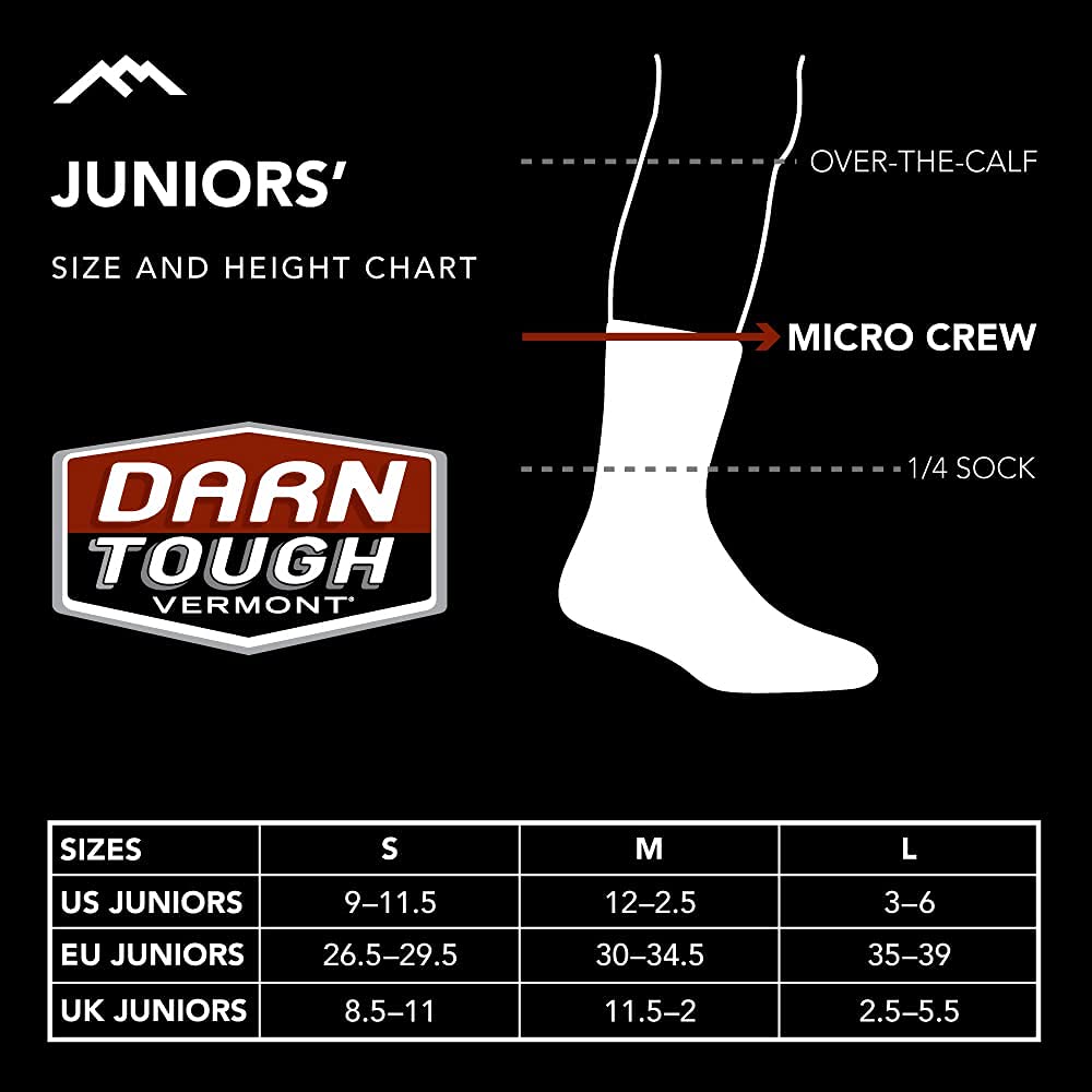 Darn Tough Vermont Light Hiker Micro Crew Light Cushion (Toddler/Little Kid/Big Kid) Vapor LG (US 3-6 Little Kid/Big Kid)