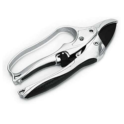 GYDXJGJ Orchard Pruning Pruner Cut Shrub Garden Tree Tools Flower Scissor Tool Garden Tools Ratchet Plant Trim Horticulture Hand Shear