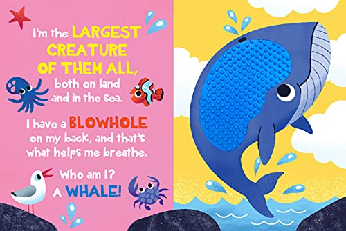 Under the Sea - Silicone Touch and Feel Board Book - Sensory Board Book