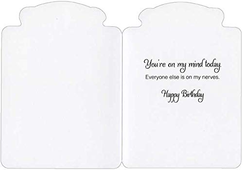 RSVP Grumpy Cat : On Nerves Funny/Humorous Birthday Card Orchid 5" x 7" GC-B7467