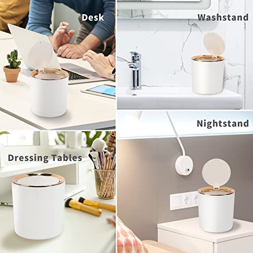 Mini Trash Can with Lid, Small Desktop Trash Can 2.5L, Tiny Waste Basket for Bathroom, Powder Room, Bedroom, Kitchen, Office (Black)