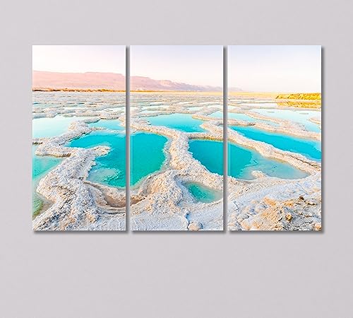 Dead Sea Coast Canvas Print 1 Panel / 36x24 inches