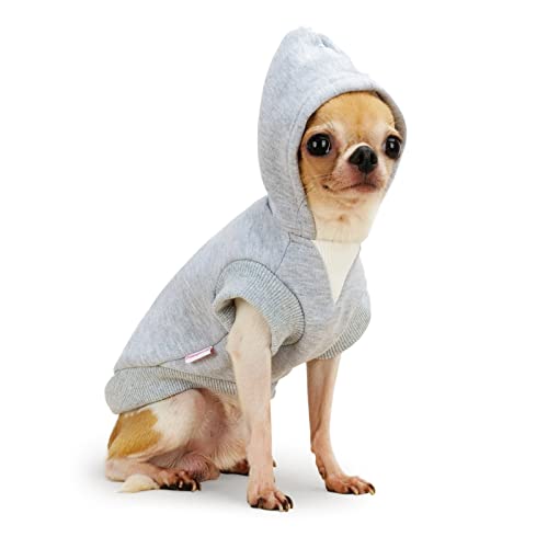 πππ πππππππ Frienperro Dog Clothes for Small Dogs Girl Boy, 100% Cotton Small Dog Hoodie, Chihuahua Clothes Pet Cat Winter Warm Sweatshirt Sweater, Teacup Yorkie Puppy Clothing Coat Costume