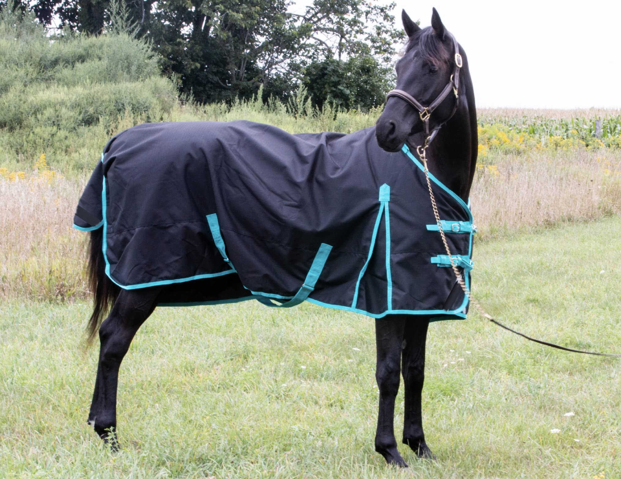 Tech Equestrian 1200 Denier Horse RAIN Sheet (Waterproof/Breathable & Wind Proof Turnout Sheet) Horse Breathable RAINSHEET (Black-Turquoise, 78)