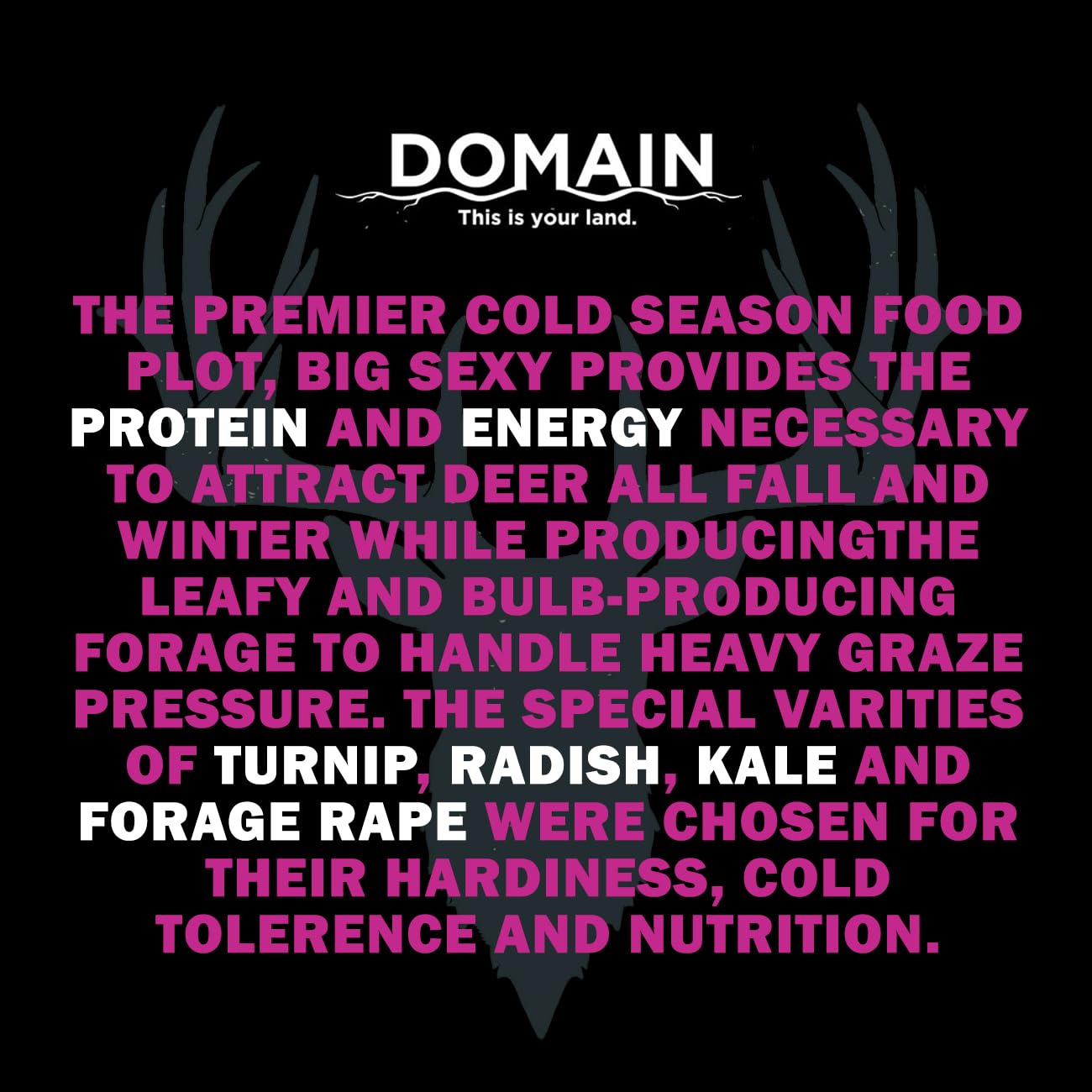Domain Outdoor Big Sexy Food Plot Seed for Deer, 1/2 Acre, Turnip, Radish, Kale and Forage Rape, High Level of Nutrients & Protein to Support Antler Growth and Health, Fast Germination, Easy to Plant