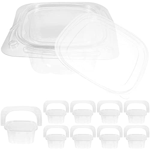 SOLUSTRE 10pcs Mini Cake Box Plastic Fruit Bowls Disposable Dessert Holder Reusable Salad Sushi Container Cupcake Packaging Treat Boxes Vegetable Saving Bowls Transparent
