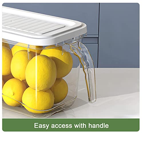 Iuhan Large Fridge Storage Containers Produce Preservation, Stackable Refrigerator Organizer with Handle to Keep Fresh for Produce, Food, Vegetables, Meat and Fish,Clear
