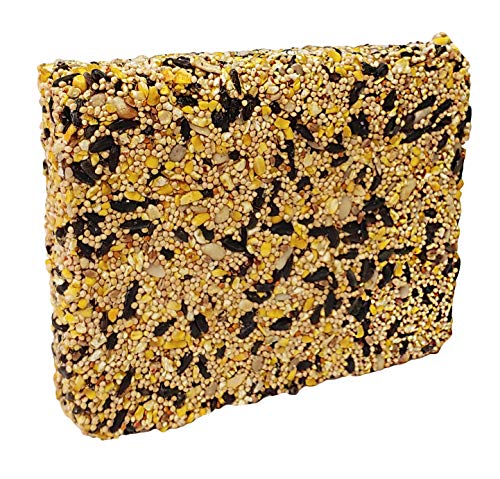 Songbird Treats Seed Bars | 8 Pack of 2 lb Bird Seed Cakes for Wild Birds (Wild Bird Buffet)