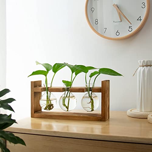 Ivolador Tabletop Propagation Station,Plants Terrarium Glass Bulb Terrarium with Retro Solid Wooden Stand for Hydroponics Plants Home Garden Wedding Décor (3 Bulbs)
