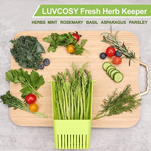 LUVCOSY Herb Keeper Set: 2 Pack Herb Saver+1 Pack Herb Scissors+2 Pack Herb Stripper, BPA-Free Plastic Herb Container for Cilantro, Mint & Asparagus, Keeps Fresh Herbs for 3 Times Longer