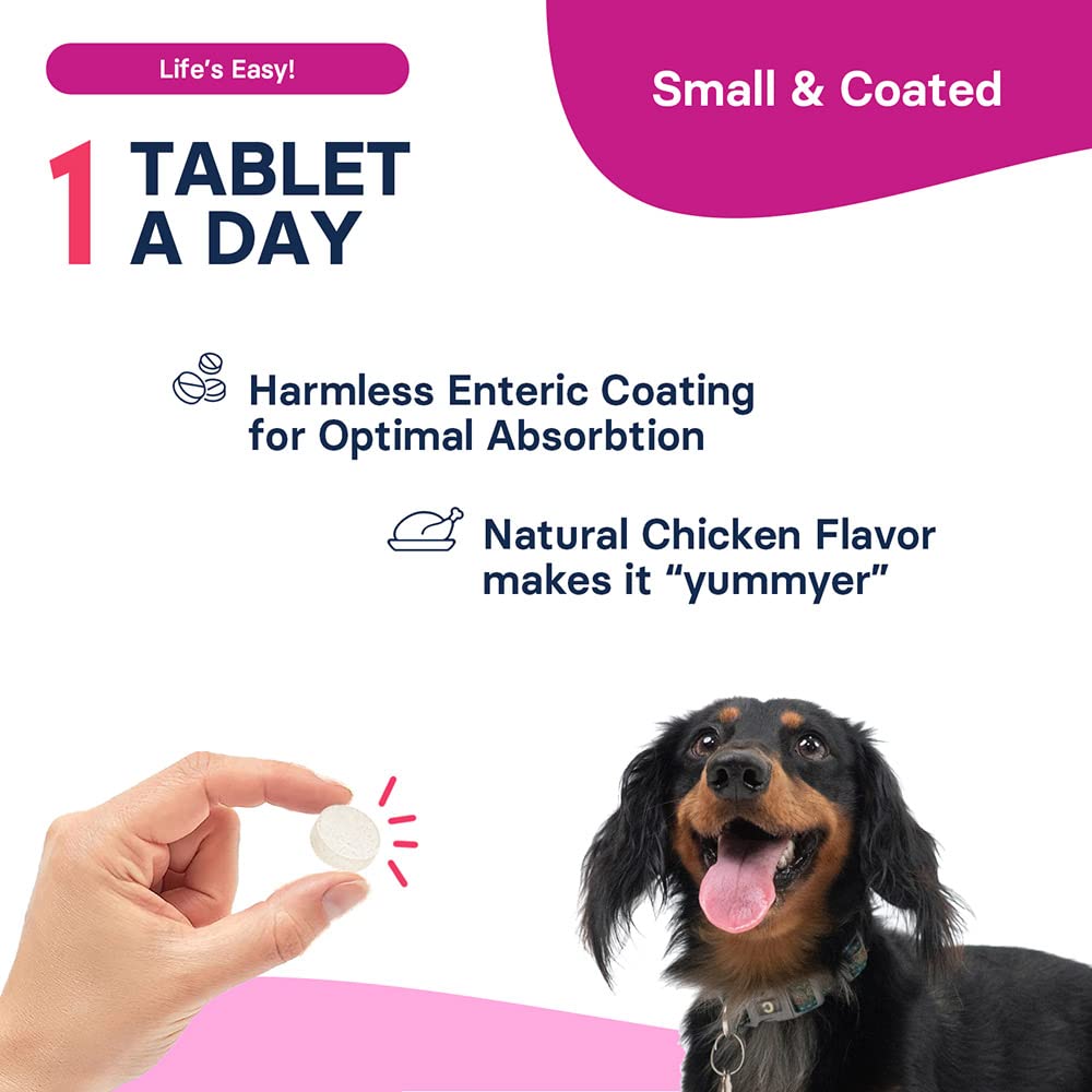 SAM-e Liver and Brain Health Supplement for Medium and Large Dogs - with S-aDENOSYLmethionine (Same), 60 Coated Tablets