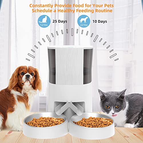 HoneyGuaridan Automatic Cat Feeder for 2 Cats&Dog, Pet Food Dispenser Timed Cat Feeder, Portion Control, Distribution Alarms and Voice Recorder 1-6 Meals per Day - 2 Stainless Steel Bowl