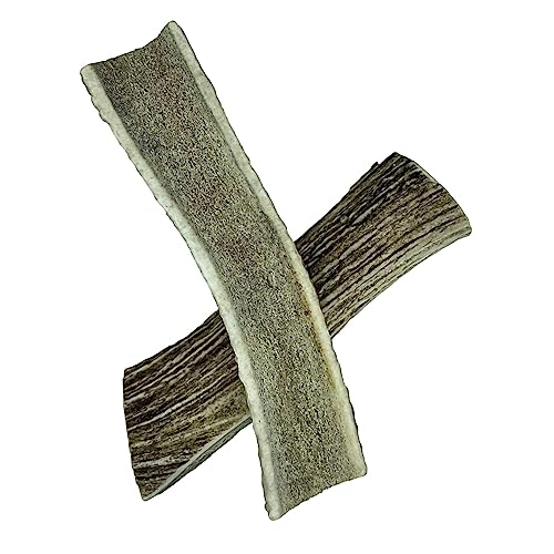 Deer Valley Dog Chews - Single Split Antler Chews (Large Size, 6-8 Inches Long) All Natural Dental Treat for Teething and Chewing - Premium Grade, Naturally Shed, USA (Single)
