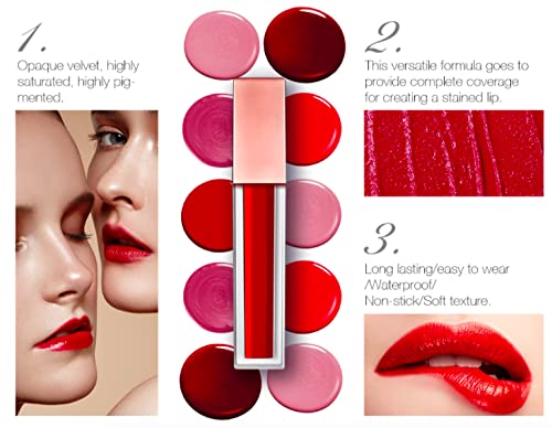 EVELIER Luxury Line: MUSE - Moisturizing Smooth Creamy Fruity Colors Lipstick Lipgloss - For Sexy Lips, Highly Pigmented, Instant Shine Lip Gloss (Raspberry Red)