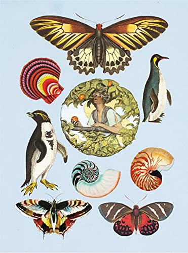 The Antiquarian Sticker Book: Over 1,000 Exquisite Victorian Stickers (The Antiquarian Sticker Book Series)