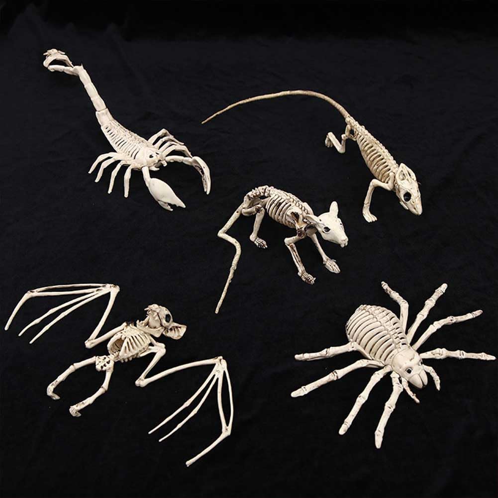 CREATIVE HOBBIES Halloween Skeleton Decoration, Animals Crazy Bones Decoration Life Size Snake Dragon Bones Skeleton Animals Toy for Hallowmas Decoration Haunted House Party