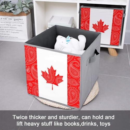 Paisley and Canadian Flag Fashion Storage Bins Foldable Organizer Cubes 10.6" Collapsible Box Home Ofice Supplies 2PCS