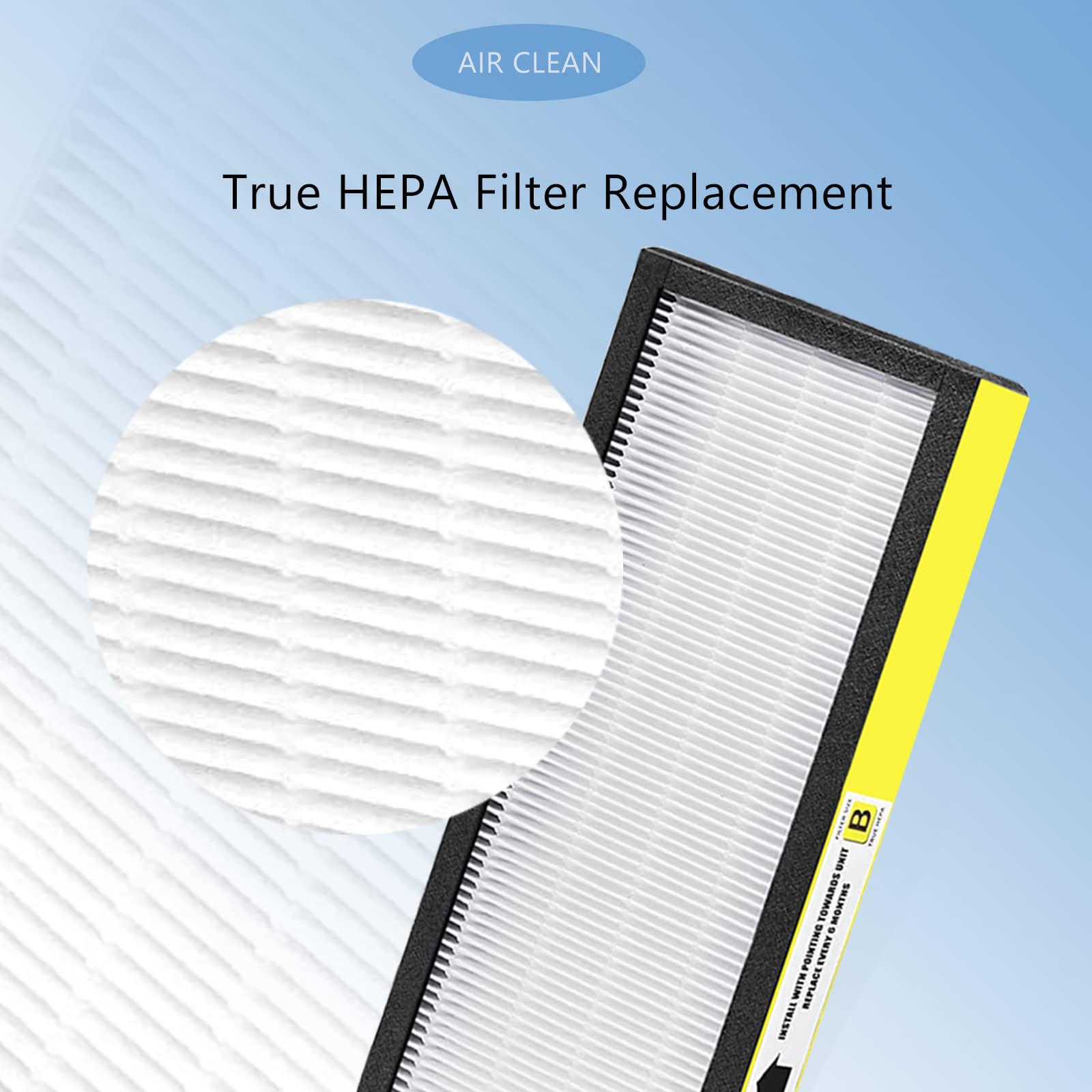 FLT4825 HEPA Filter B Replacement Compatible with Germ-Guardian AC4825 AC4300 AC4800 AC4900 AC4850 AC4850PT Air Purifier, 2 True HEPA Filters & 8 Carbon Filters