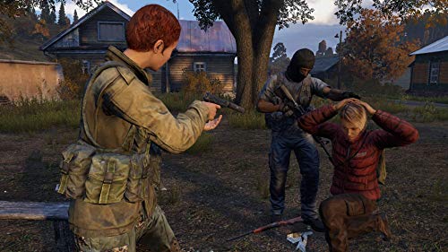 Dayz (PS4)