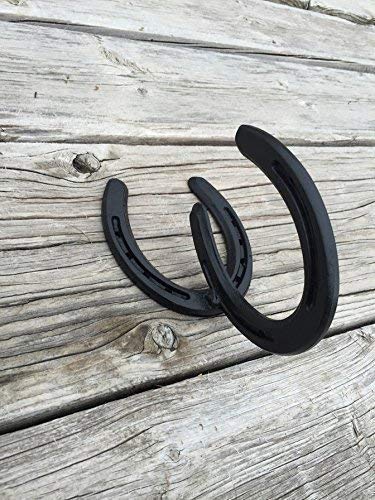 Horseshoe Hook