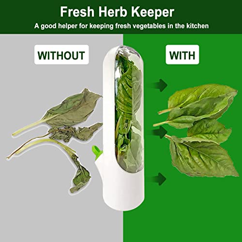 plplaaoo Herb saver pod, Herb Storage Container clear windowed,good watertight integrity,Fits in all standard refrigerator doors for Cilantro Mint Parsley Asparagus