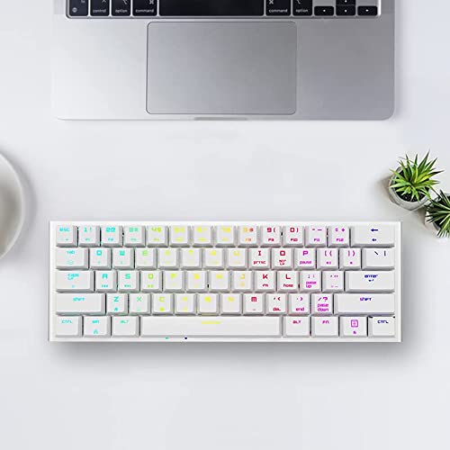 Magic Refiner MK28 60 Percent RGB White Gaming Keyboard, 61 Keys Mechanical Bluetooth/2.4G/USB Wired for Option, Compatible for Windows/iOS/Linux/Andriod PC/Mac Keyboard (Red Switch)