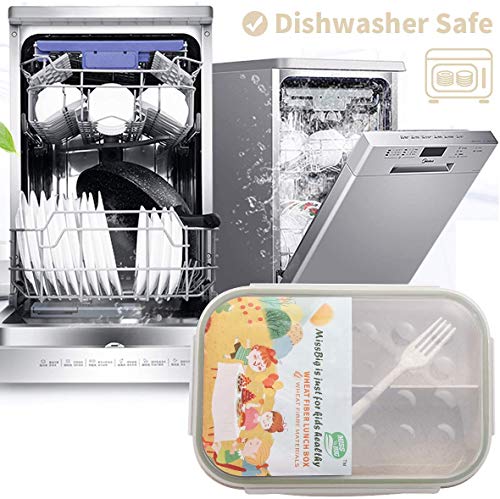 MISS BIG Bento Box, Bento Box for Kids,Ideal Leak Proof Lunch Box Kids,Mom’s Choice Kids Lunch Box, No BPAs and No Chemical Dyes,Microwave and Dishwasher Safe Lunch Containers(White)