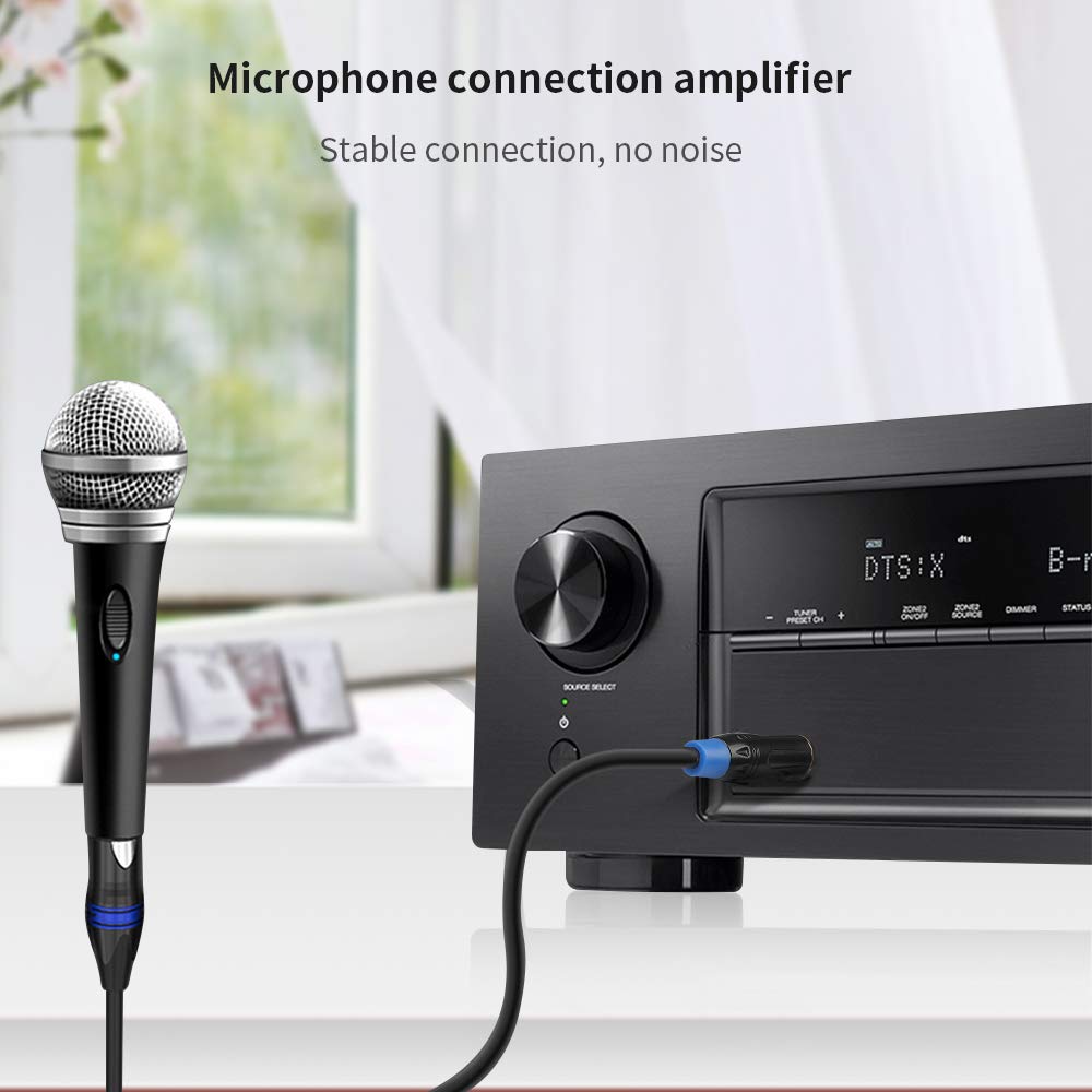 Disino 3.5mm to XLR Cable, Unbalanced 1/8 inch Mini Jack TRS Stereo Male to XLR Male Microphone Audio Cable - 3.3 FT