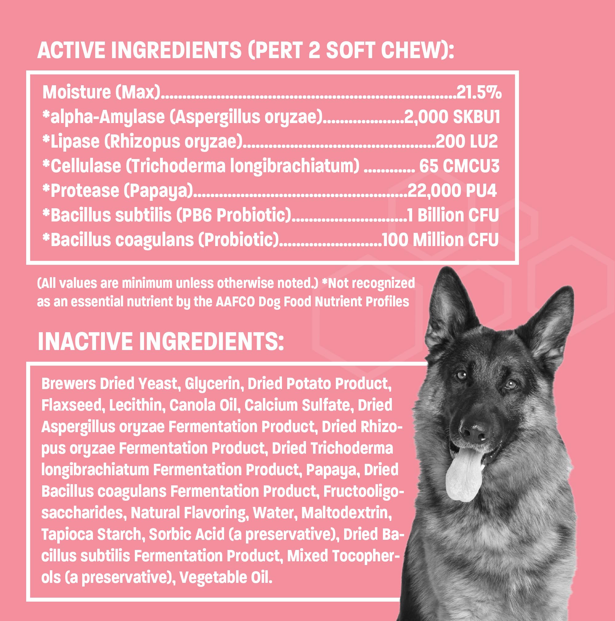 Pet Health Pros Advanced Probiotics for Dogs - Probiotic Soft Chew for Upset Stomach, Diarrhea & Constipation Relief - Promotes Happy Gut, Happy Dog - 60 ct
