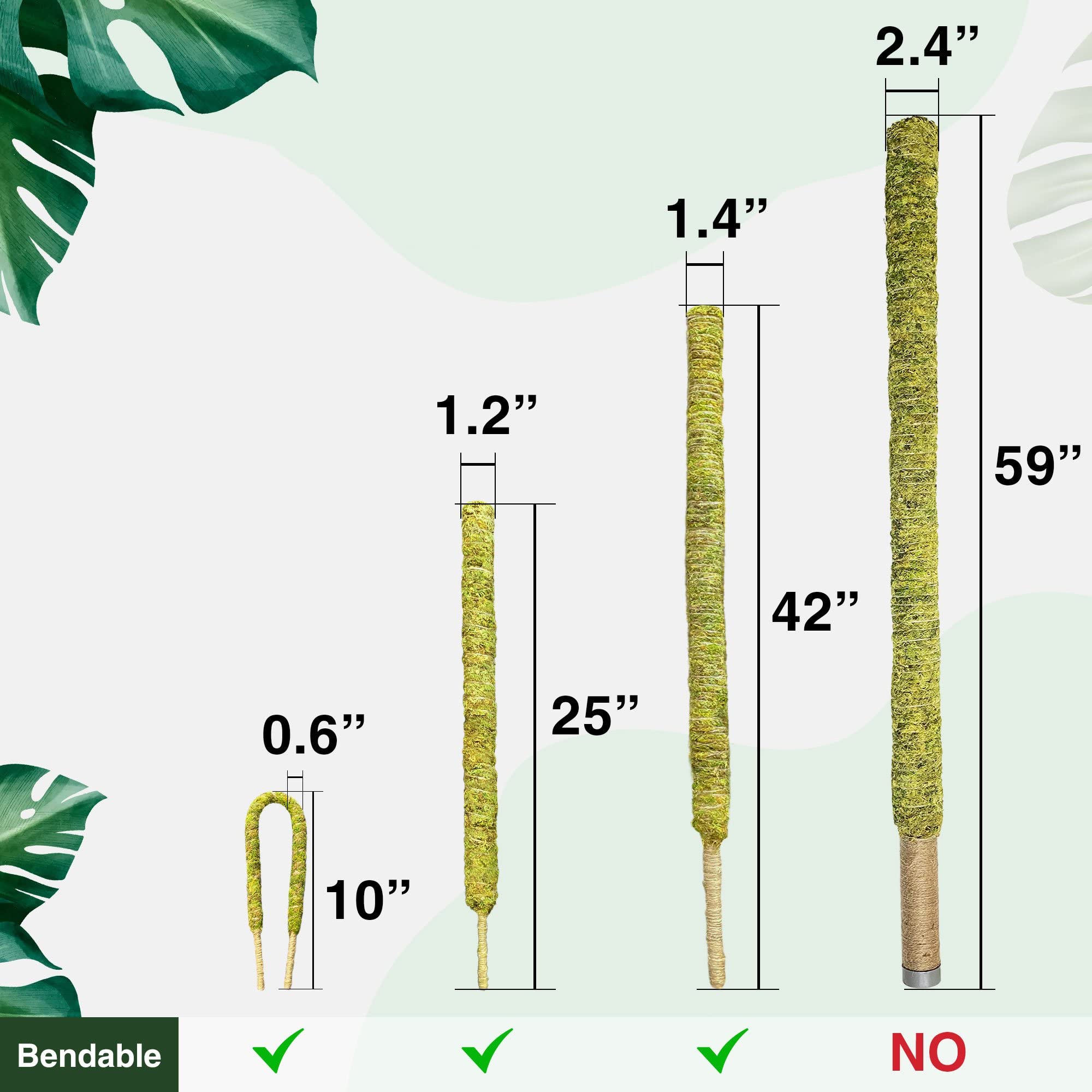DUSPRO 59ββ Inches Large Moss Pole for Plants Monstera, Tall Indoor Plant Stake Support for Big Climbing Pothos Long Handmade Forest Moss Totem/Giant Trellis (Extra Large Size)