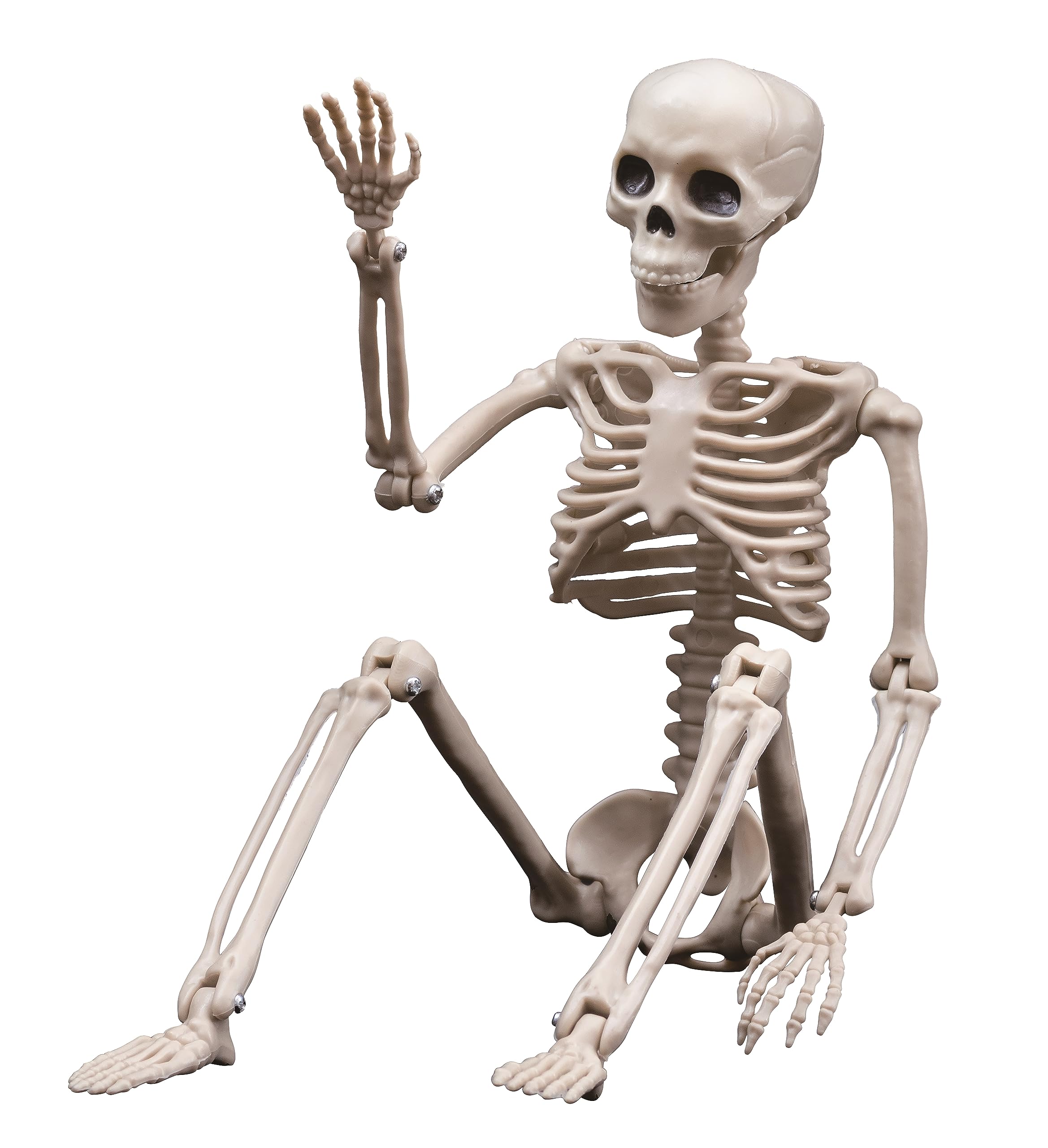 COYOAL Skeletons Decorations, 16'' Posable Plastic Skeleton, Full Body Skeleton with Movable Joints, Realistic Spooky Scary Skeletons for Indoor Party Haunted House Graveyard Props Decor