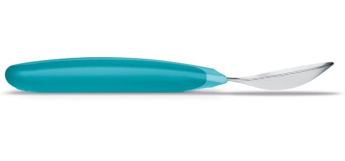 Gerber Nuk Stainless Steel Tip Kiddy Cutlery Set,(Purple)