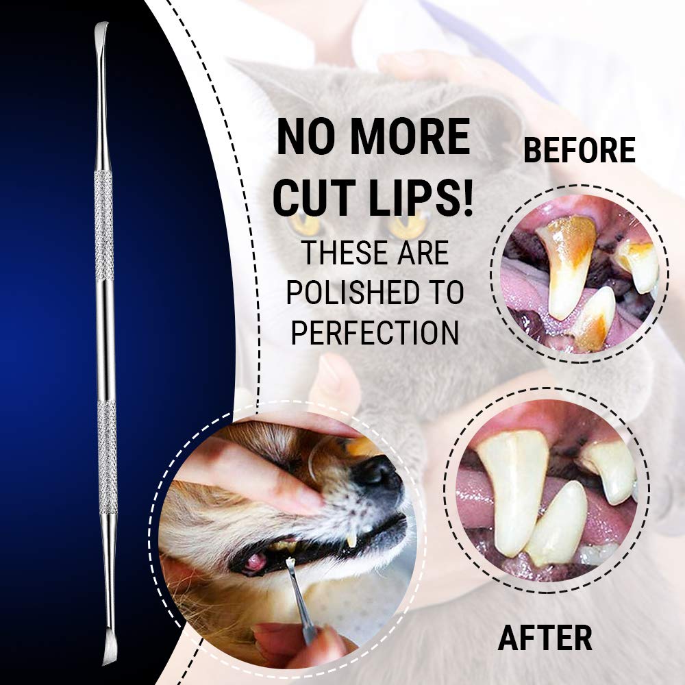 Pet Teeth Cleaning Tools โ 6.5 Inch double header Tarter & Plaque remover tool for cats and dogs. Stainless Steel That Will Not Rust. By Majestic Bombay
