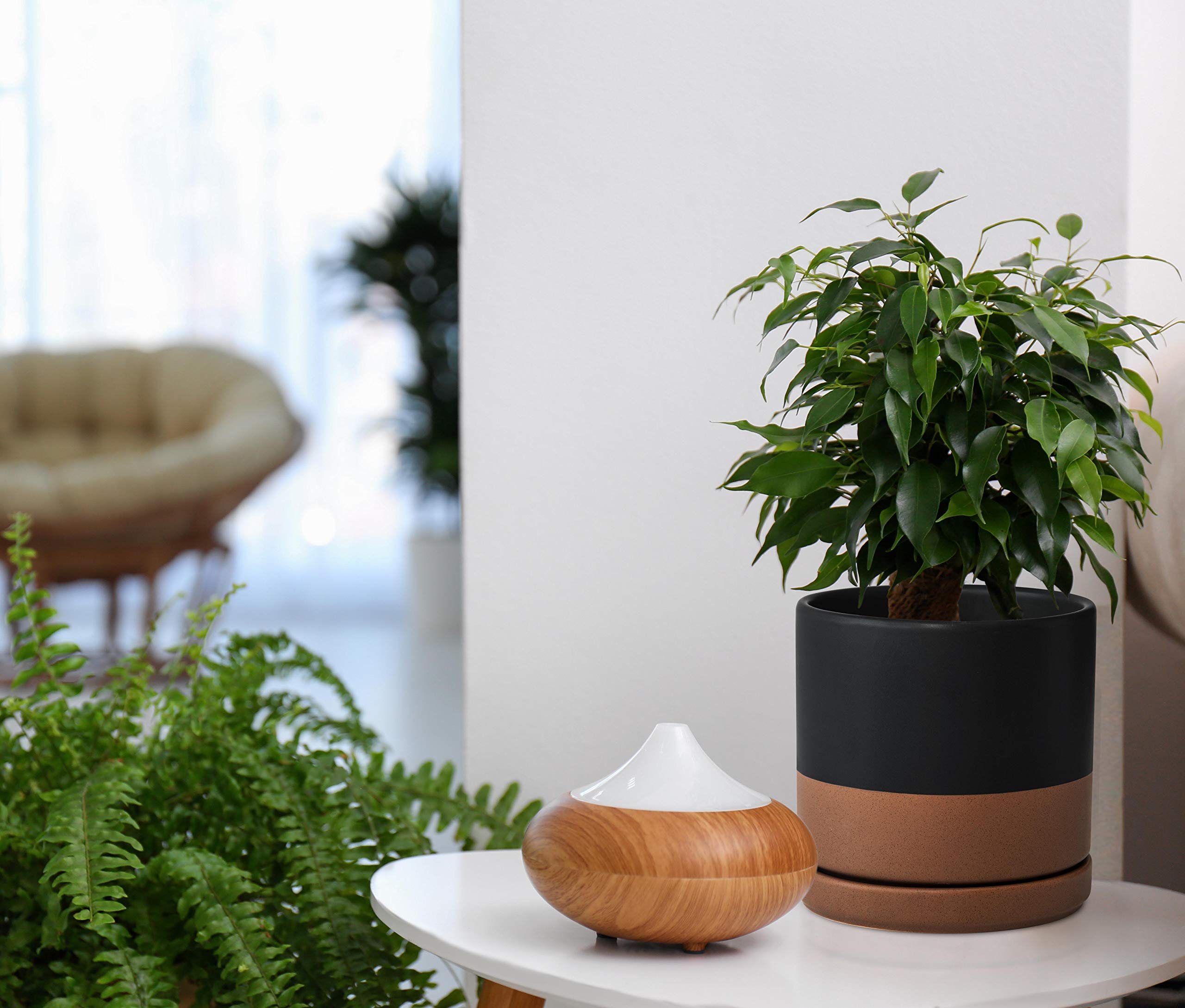 D'vine Dev 6 Inch Ceramic Planter Pot with Drainage Hole and Saucer, Indoor Cylinder Round Planter Pot, Black/Speckled Tan, 94-O-S-7