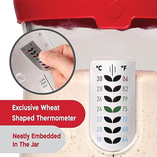 KneadAce Pro Sourdough Bread Starter Kit - 34 oz Large Capacity Sourdough Starter Jar with 5 unique features for the perfect sour dough bread & sourdough starter kit - sourdough bread baking supplies