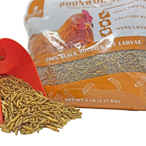 Pecking Order Boonworms 100% Black Soldier Fly Larvae