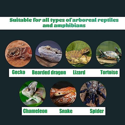 Woyrise Reptile Hide Box with Sink Humidifier Gecko Hideout Cave Lizards Hideaway with Flexible Vine Decor and Bowl for Bearded Dragons Lizards Spiders Snakes