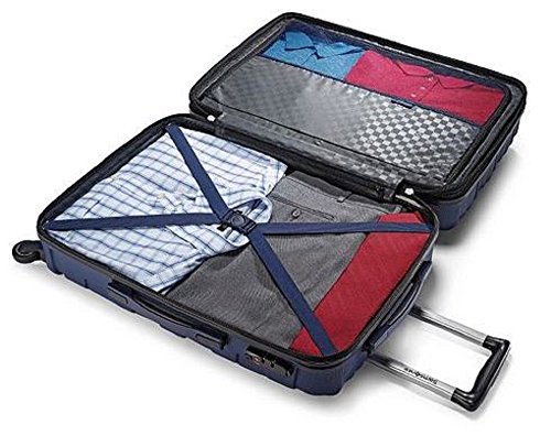 Samsonite Ziplite 3.0, 20in Carry-on, Hardside Spinner Luggage telescoping_handle(Deep Purple)