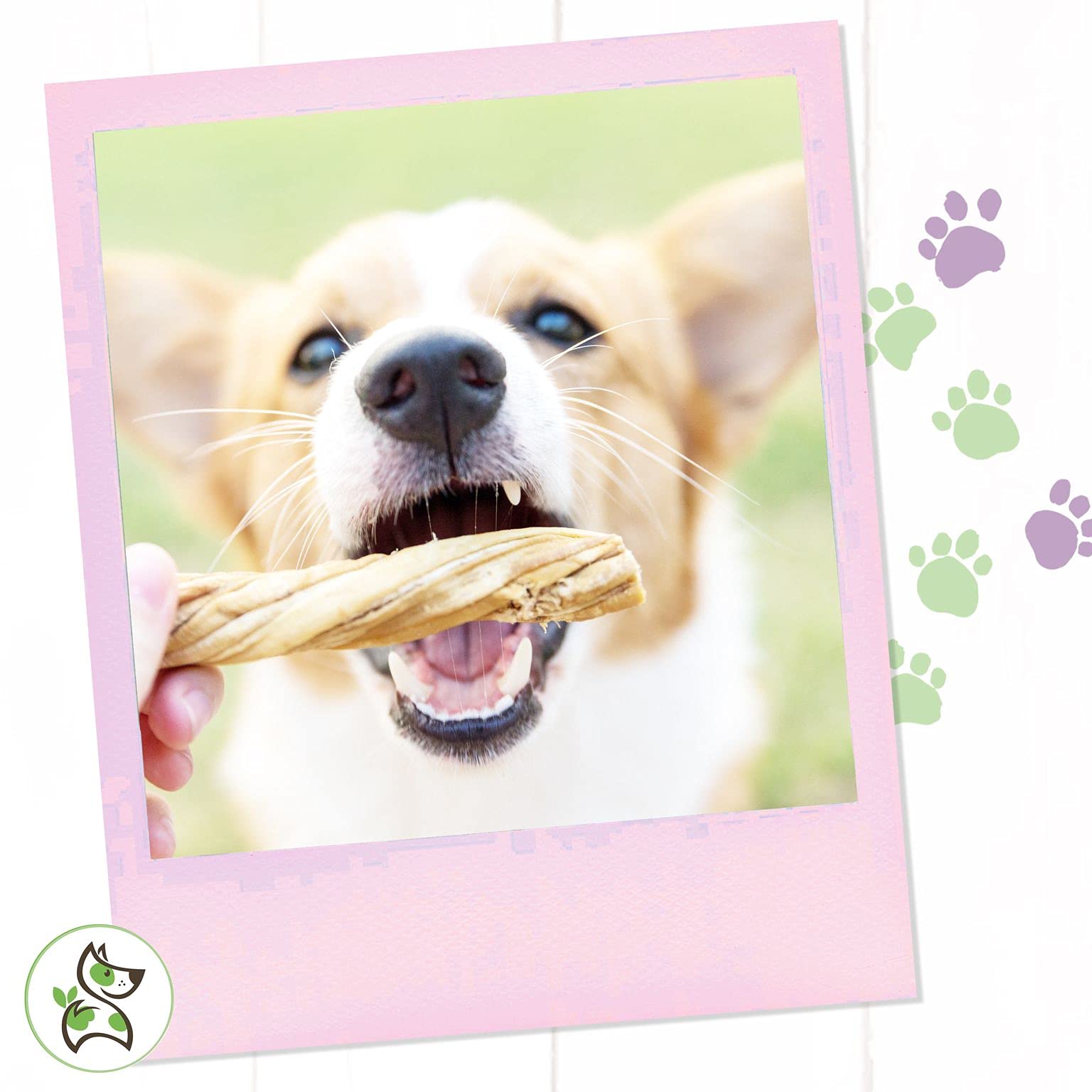Nature Gnaws Tripe Twists for Dogs - Premium Natural Beef Sticks - Simple Single Ingredient Crunchy Dog Chew Treats - Rawhide Free - 4-5 Inch (8 oz)
