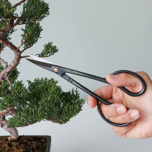 Hanafubuki Wazakura Japanese Bonsai Garden Tool Starter Kit, Made in Japan, Satsuki Scissors, Stainless Tweezers with Rake, Chinese Broom - 3 PCS Set