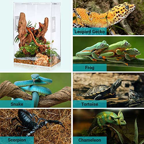 Reptile Terrarium Tank,Tarantula Enclosure 15’’x10’’x6’’ INKPET Acrylic Medium Feeding Tarantula Habitat Box for Hermit Crab,Leopard Gecko,Snake,Frog and Chameleon Cage(No Assembly Required)